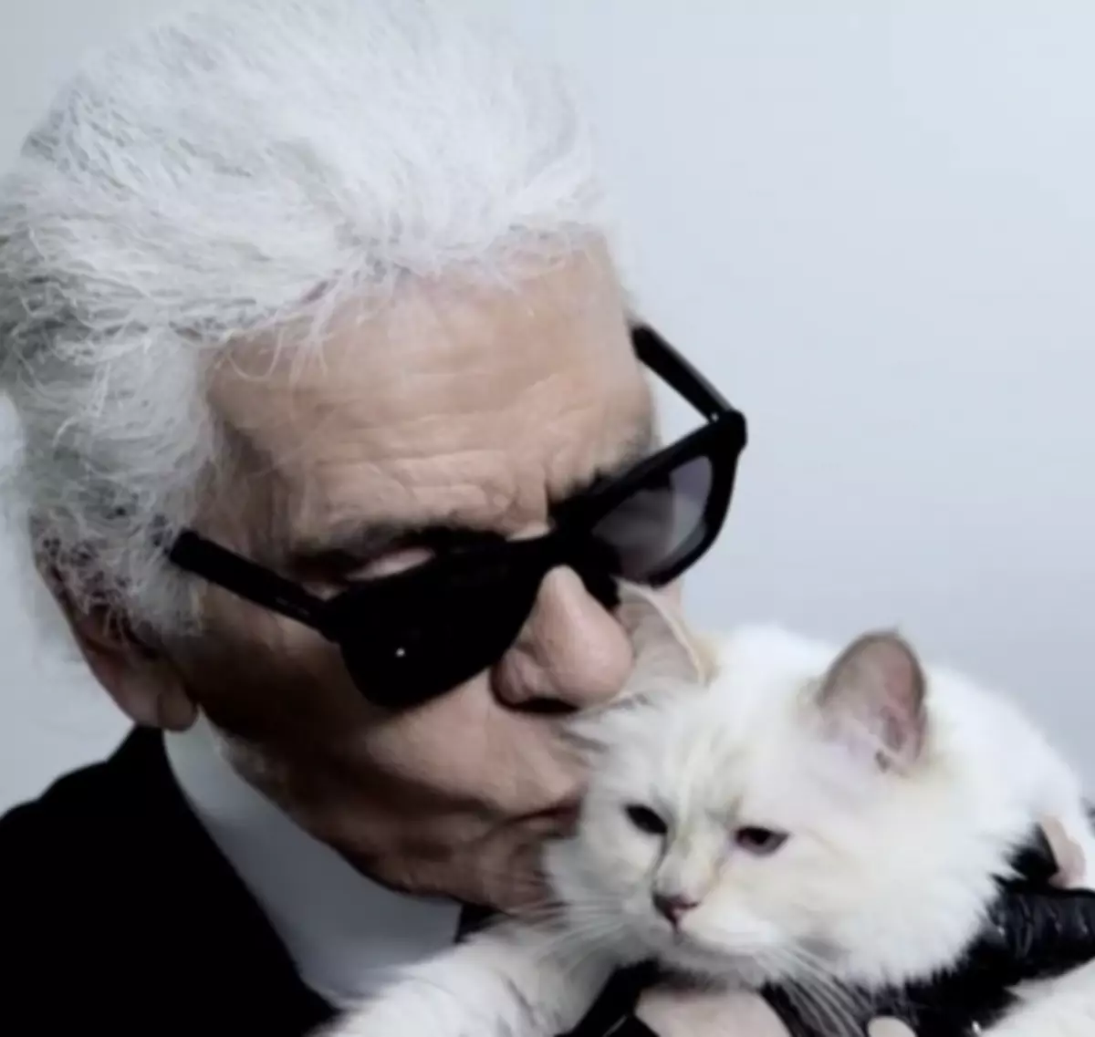 Bawo ni Karli Lagerfeld Cat wa laaye, eyiti o fi 200 milionu dọla 200 3102_2