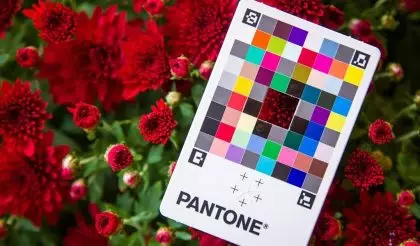 8 Shade sa mga sinina gikan sa Pantone alang sa tingtugnaw, nga nagdala na sa tinuud nga fashionista 3618_1