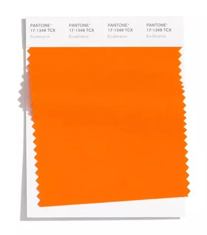 8 nyanser i kläder från Pantone för vintern, som redan bär sanna fashionista 3618_4