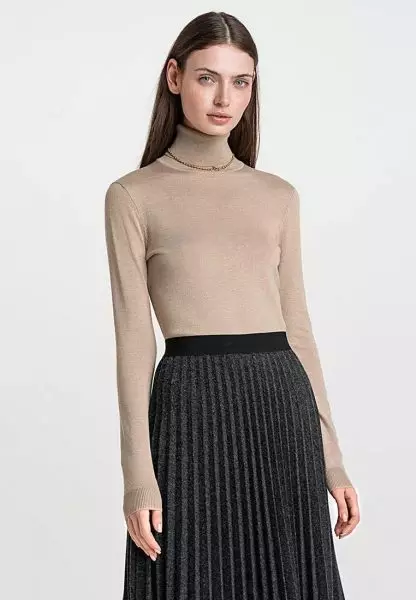 Qəşəng qadınlar üçün Turtlenecks: 6 Universal modellər 8806_3